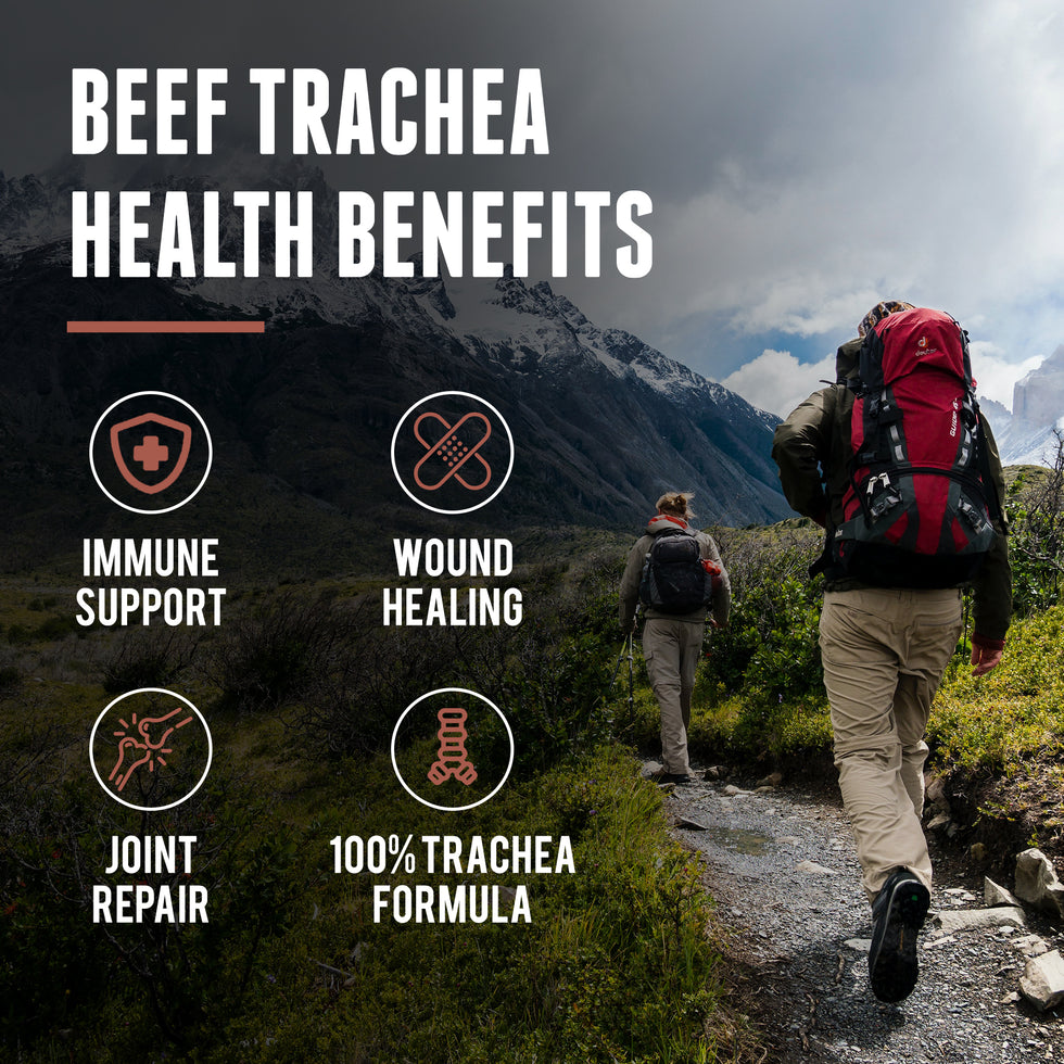 Beef Trachea Supplement—Grass-Fed from New Zealand – OneEarthHealth