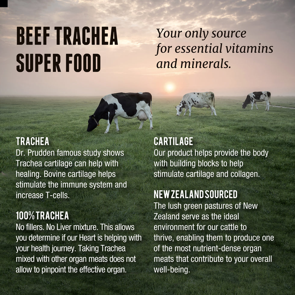 Beef Trachea Supplement—Grass-Fed from New Zealand – OneEarthHealth