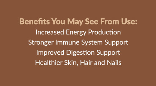 OneEarthHealth | Eating as Nature Intended