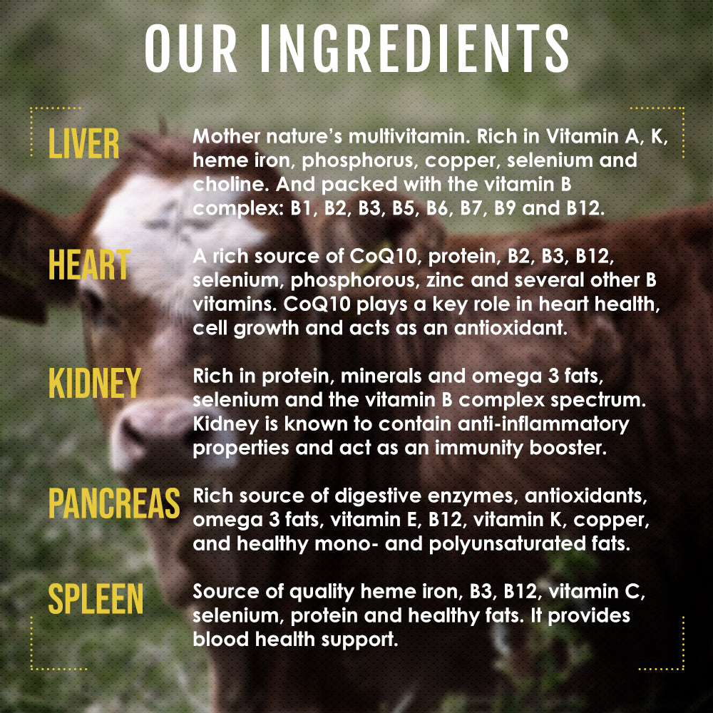 Multi-Organ Supplement—100% Grass-Fed New Zealand Beef – OneEarthHealth